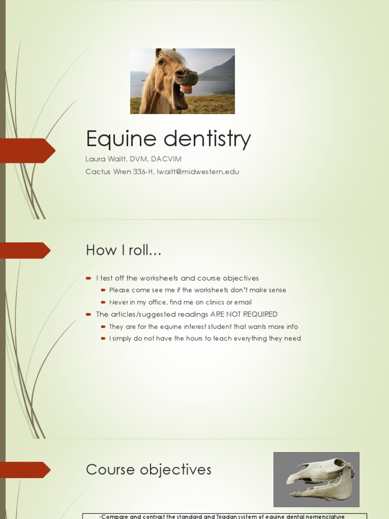 Equine Dentistry: A Guide to Common Objectives, Anatomy, Aging ...