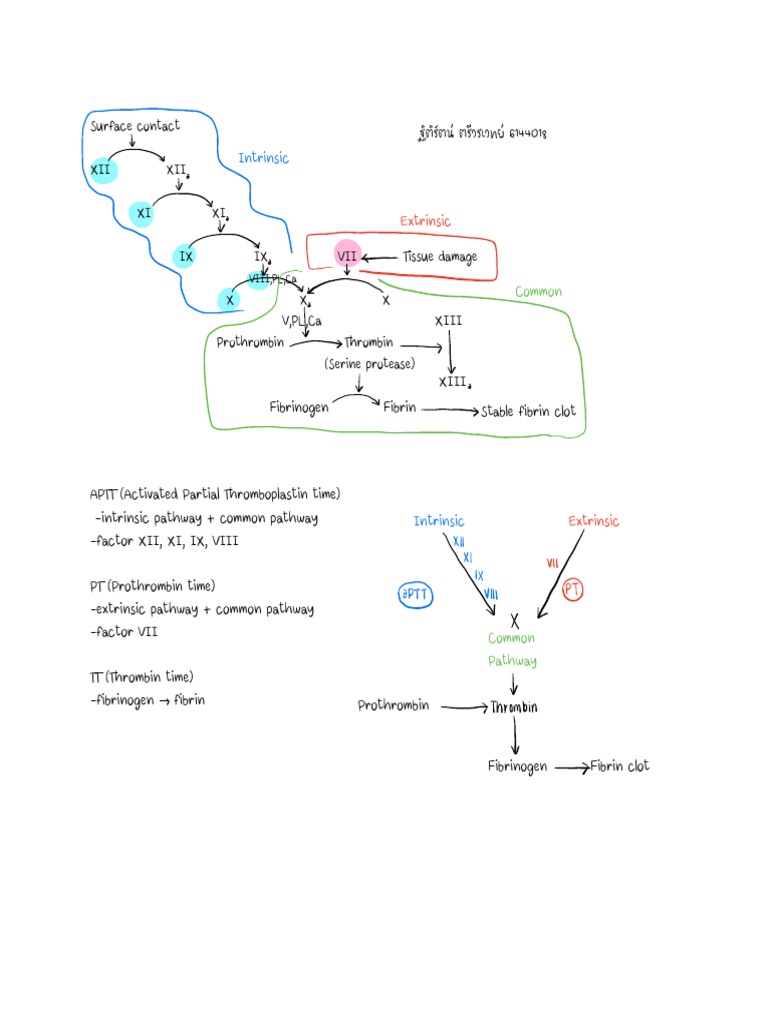 9-6144018-ฐิติรัตน์ ตรีวรเวทย์-Waterfall coagulation | PDF