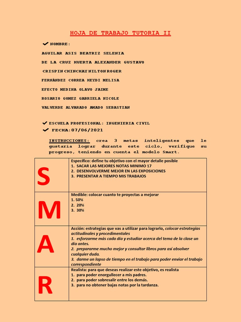 Formato de Metas | PDF