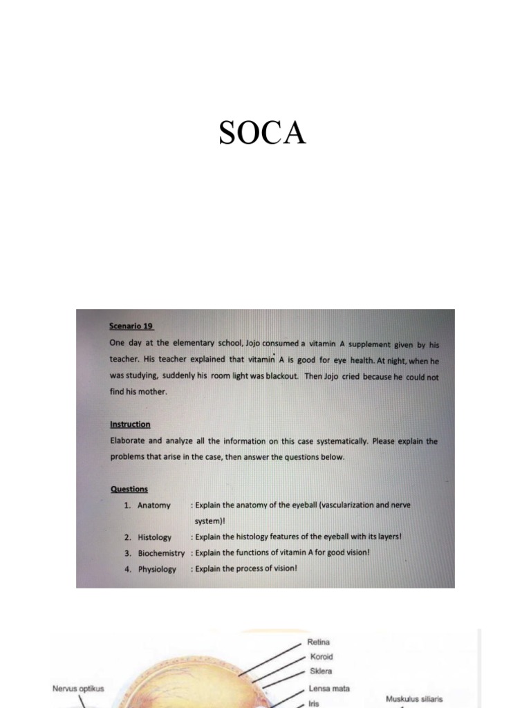 SOCA | PDF