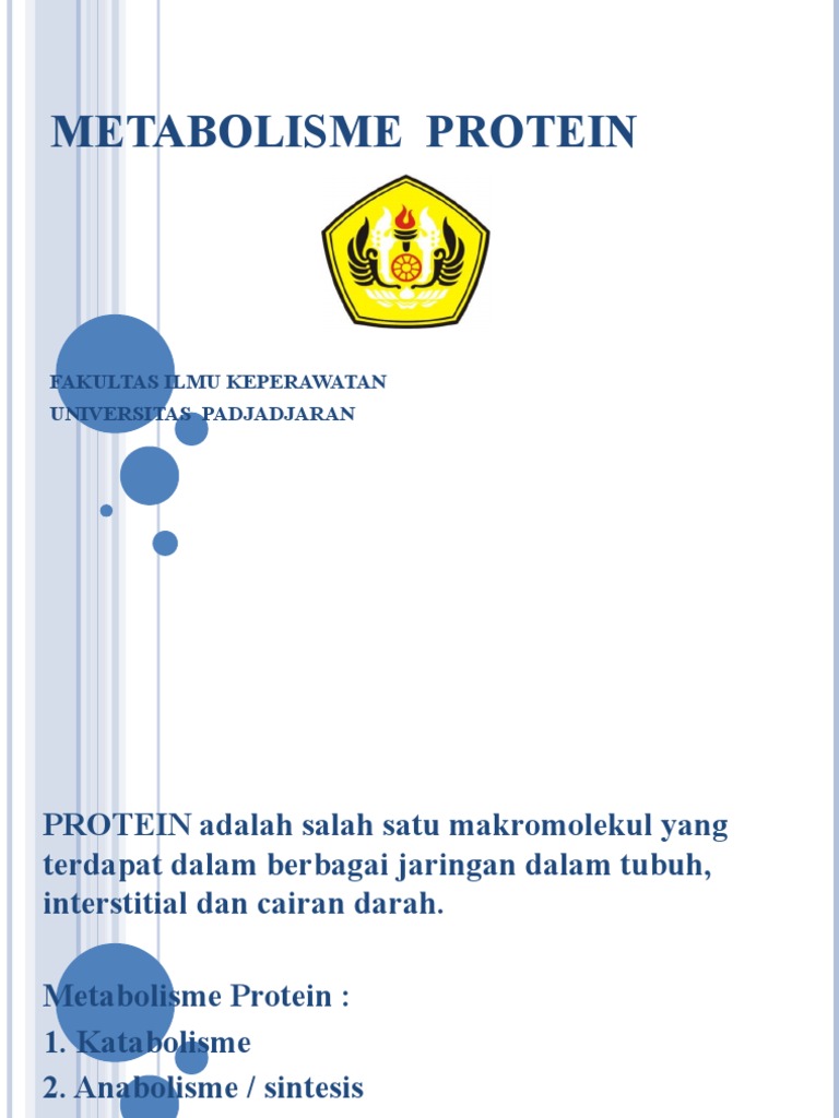 6 Metabolisme-Protein | PDF
