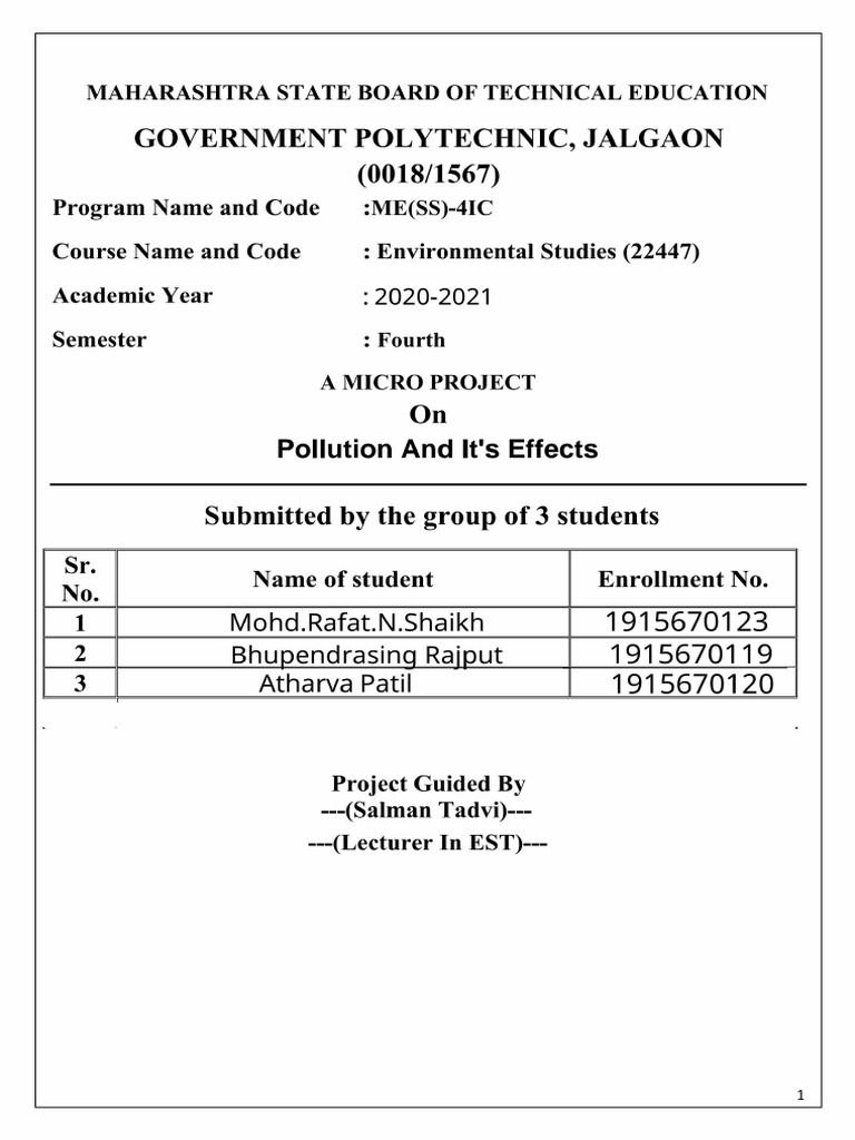 Est Microproject (Pollution and Its Effects) | PDF