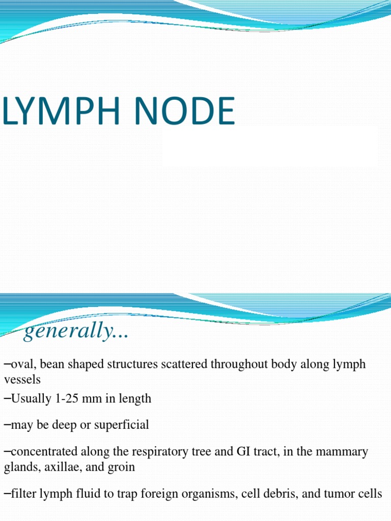 Lymph Node Structure and Function | PDF | Lymph Node | Lymphatic System