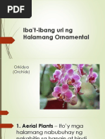 Halamang Dahon | PDF