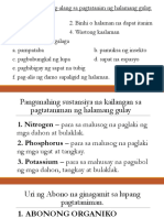 Mga Uri NG Halamang Gulay | PDF