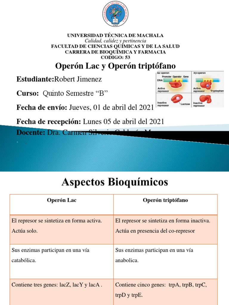 Microbiologia - Operon Lac y TRP | PDF | Triptófano | Operón