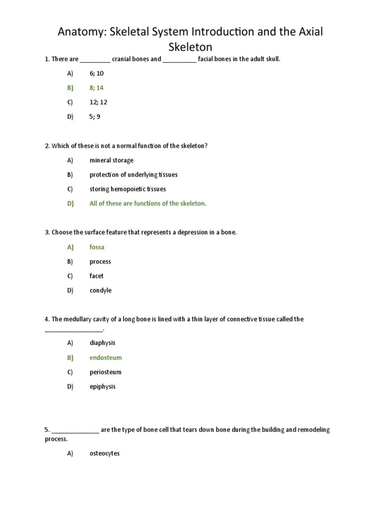 Skeletal System Introduction and The Axial Skeleton | PDF | Bone ...