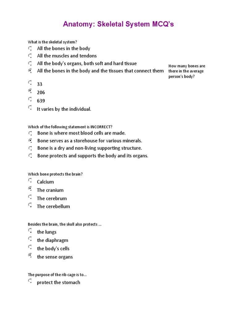 Anatomy of the Skeletal System: Key Multiple Choice Questions on Bones ...
