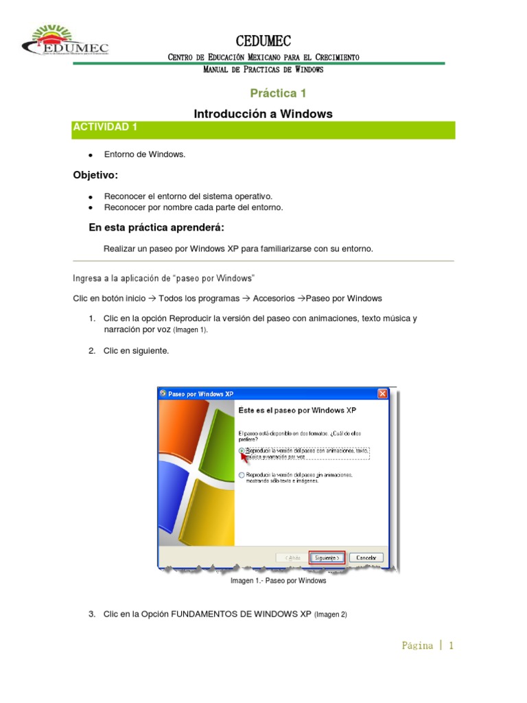 Ejercicios de Windows | PDF | Ventana (informática) | Archivo de computadora