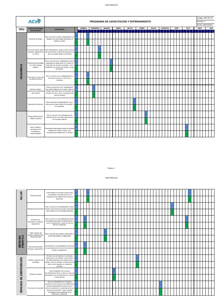 PRG-SST-07 Programa de Capacitacion y Entrenamiento | PDF | Estrés (biología) | Médico de ...