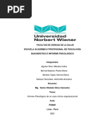 Informe Psicológico Adulto Mayor | PDF | Sicología
