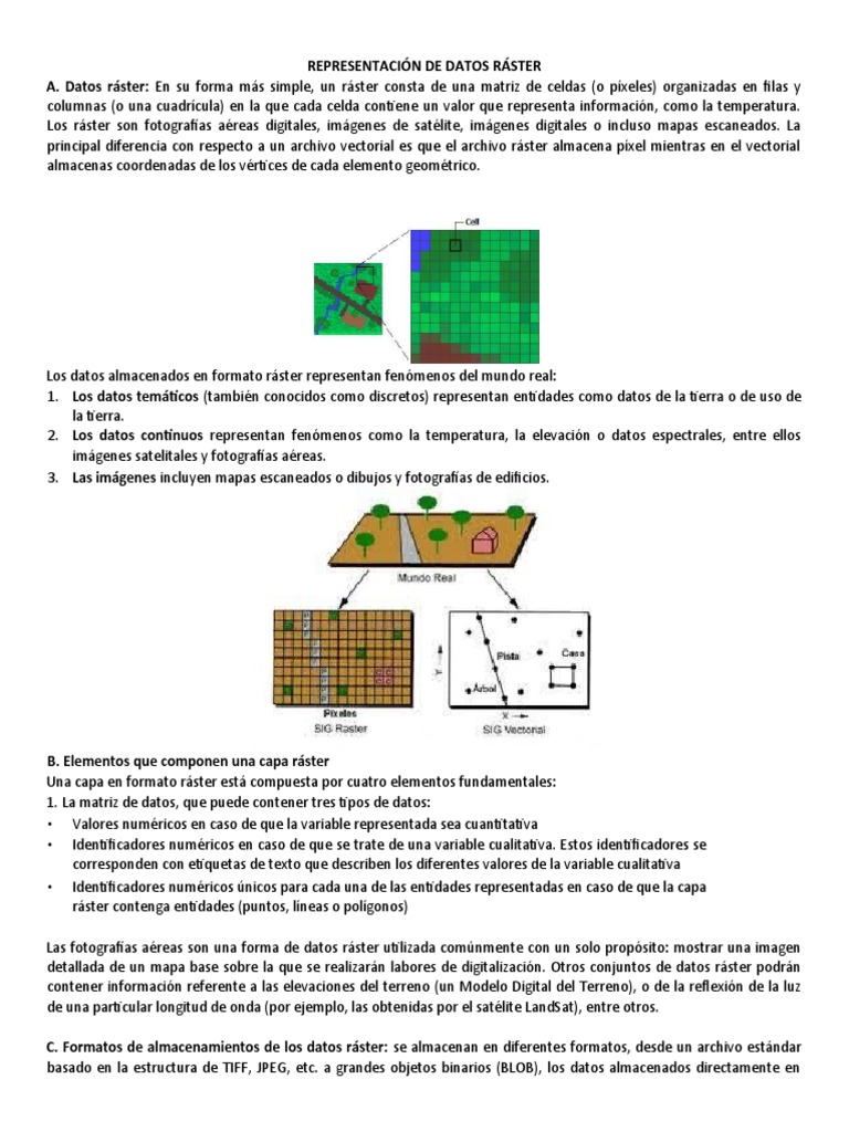 Datos Ráster y Vectoriales en SIG | PDF | Sistema de información ...