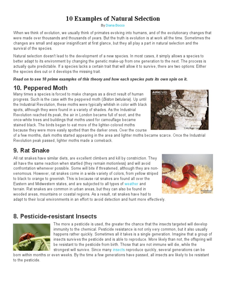 10 Examples of Natural Selection - Article WK3 | PDF | Mouse | Evolution