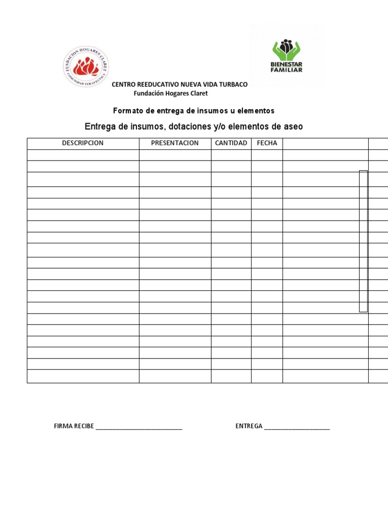 Formato de Entrega Insumos o Elementos | PDF