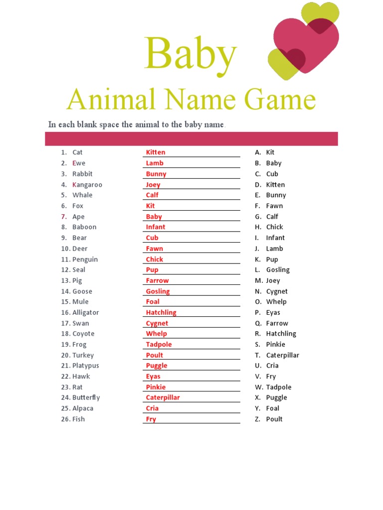 Baby Animal Game-Answers | PDF