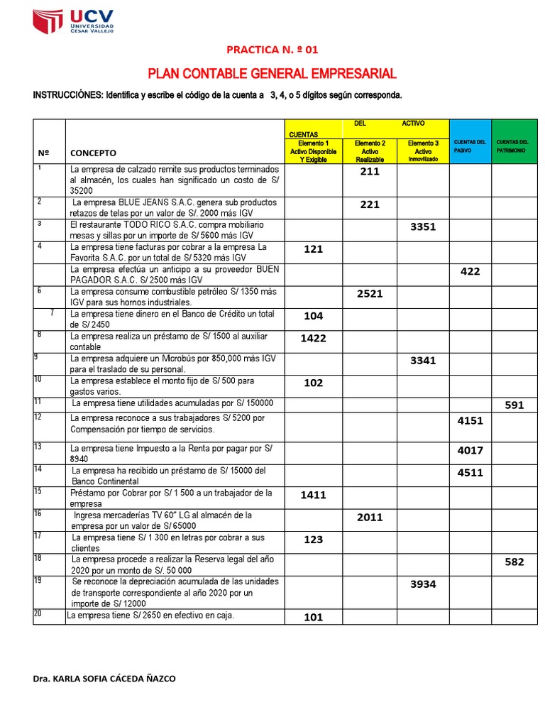 Practica Plan Contable 2021 | PDF | Empresas | Contabilidad