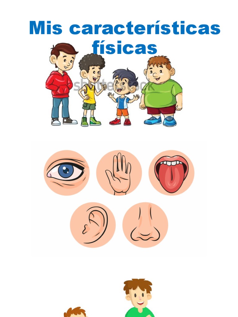 04 Mis Características Físicas | PDF