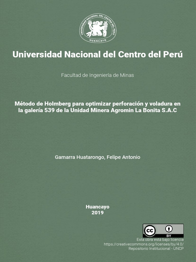 Tesis Roger Holmberg | PDF | Perforar | Minería