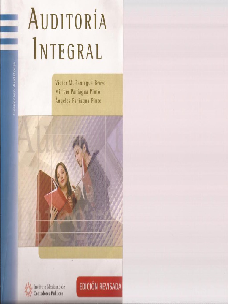 245796832a Auditoria Integral | PDF