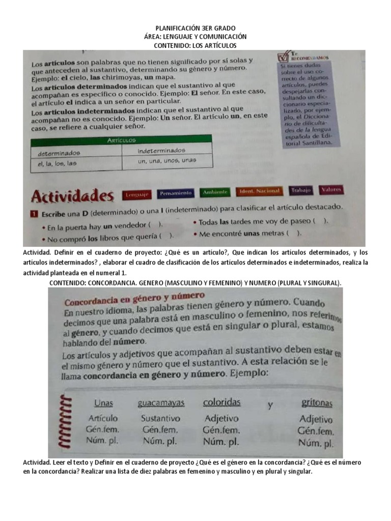 Planificación de Actividades 3er Grado | PDF | Science | Ciencia y ...