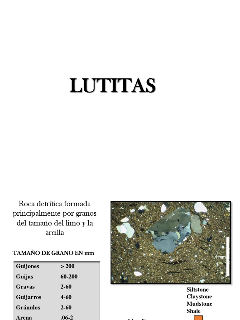 Lutitas | PDF | Roca clástica | Roca (geología)