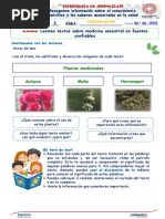 Informe 100 Plantas Medicinales Selva Peruana | PDF