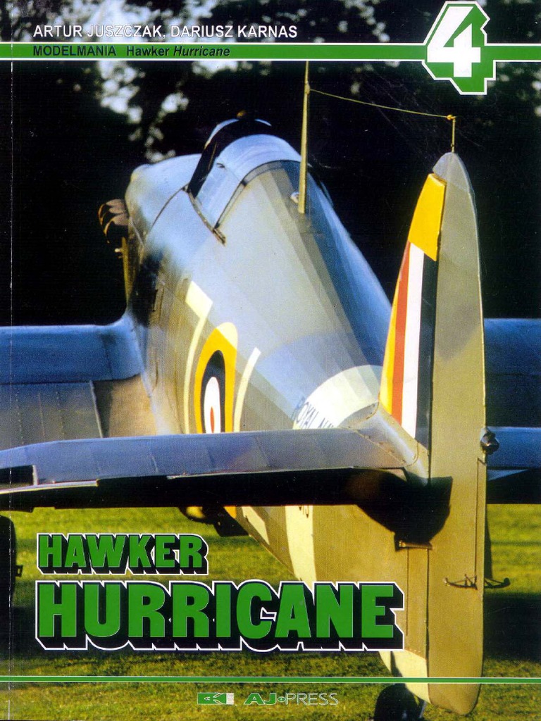 Hurricane | PDF