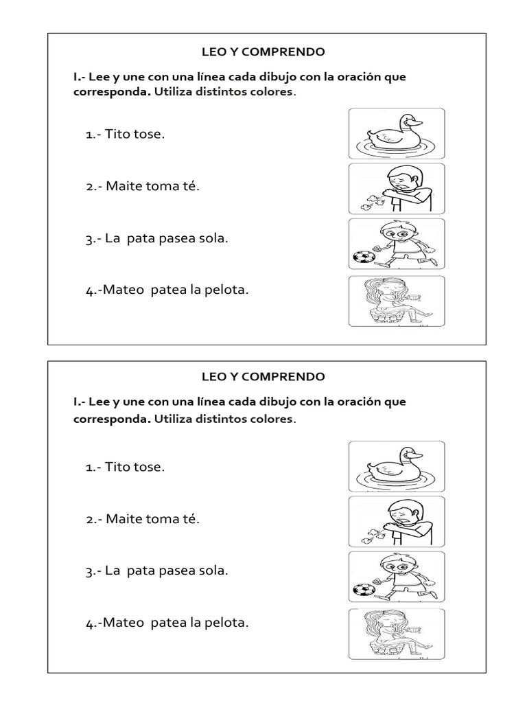 Leo y Comprendo | PDF
