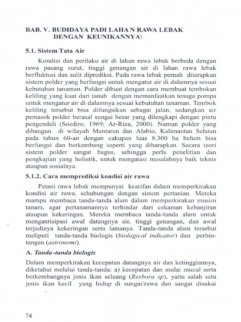 Bab V Budidaya Padi Lahan Rawa Lebak Dengan Keunikannya | PDF
