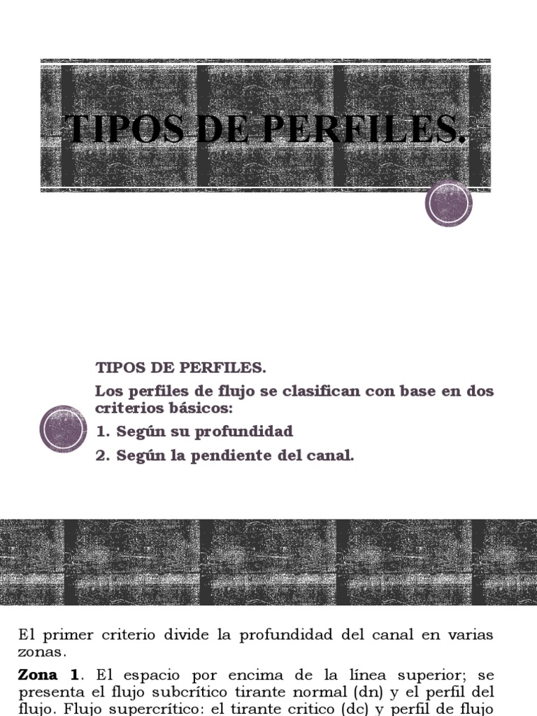Tipos de Perfiles | PDF