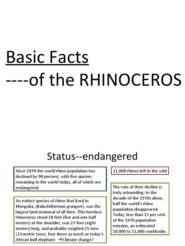 Rhino Basic Facts | PDF | Rhinoceros | Poaching