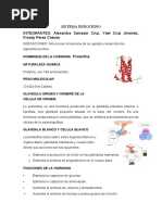 Lactogénesis y Lactopoyesis | PDF | Lactancia | Pecho