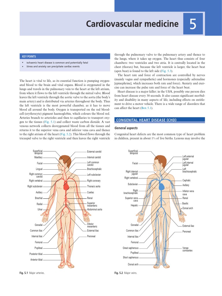 Medicina Cardiovascular | PDF | Heart | Congenital Heart Defect