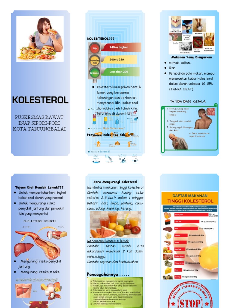 Leaflet Kolestrol 1 | PDF