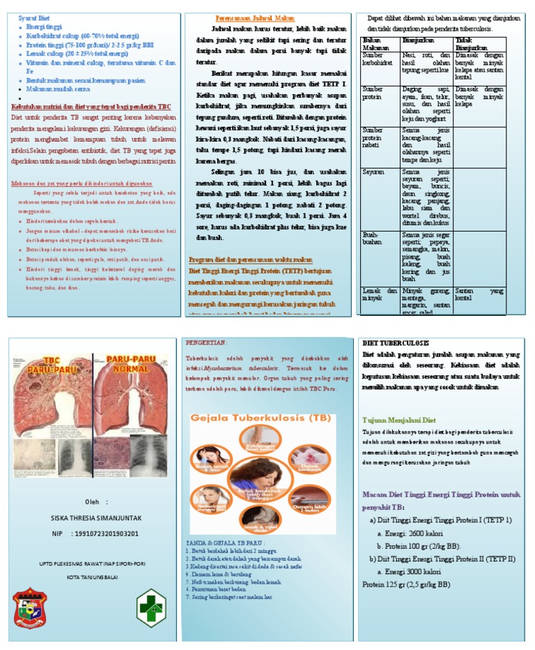 Leaflet TB Sudah Siap | PDF