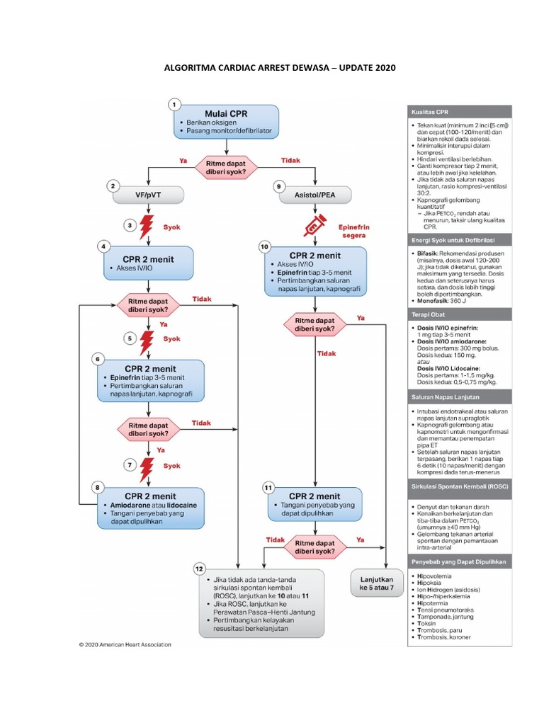 Algoritma Cardiac Arrest Dewasa | PDF