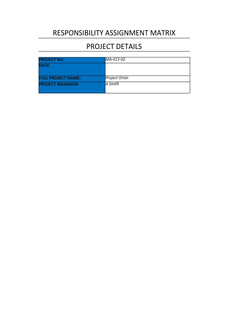 Responsibility Assignment Matrix Project Details: Project No: Date ...