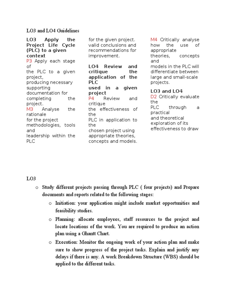 Lo3+lo4 Guideline | PDF | Project Management | Leadership