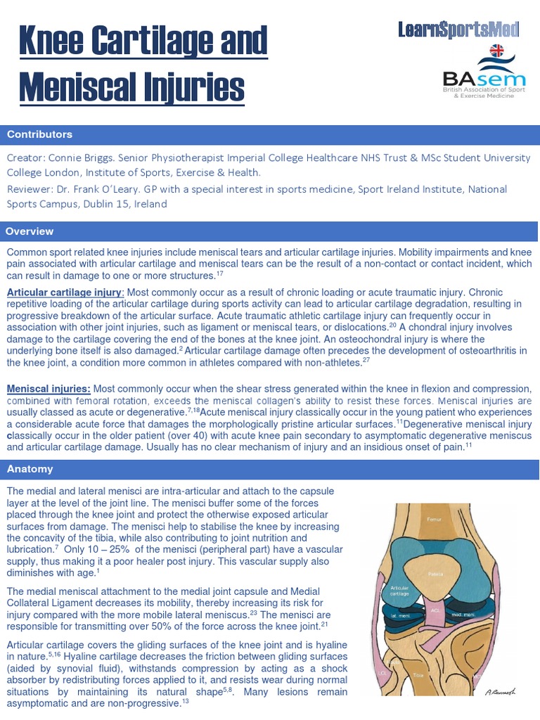 Knee Injuries: Meniscus and Cartilage | PDF | Knee | Joints