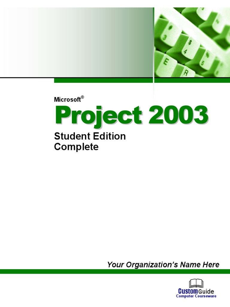 Project 2003 | PDF | Microsoft Excel | Computing