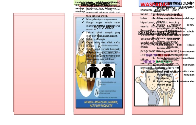 Leaflet Kesehatan Lansia | PDF
