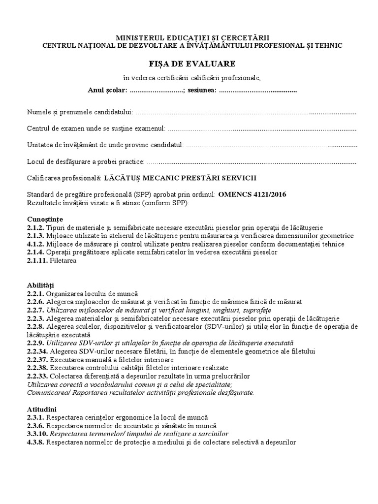 07 - Lacatus Mecanic Prestari Servicii | PDF