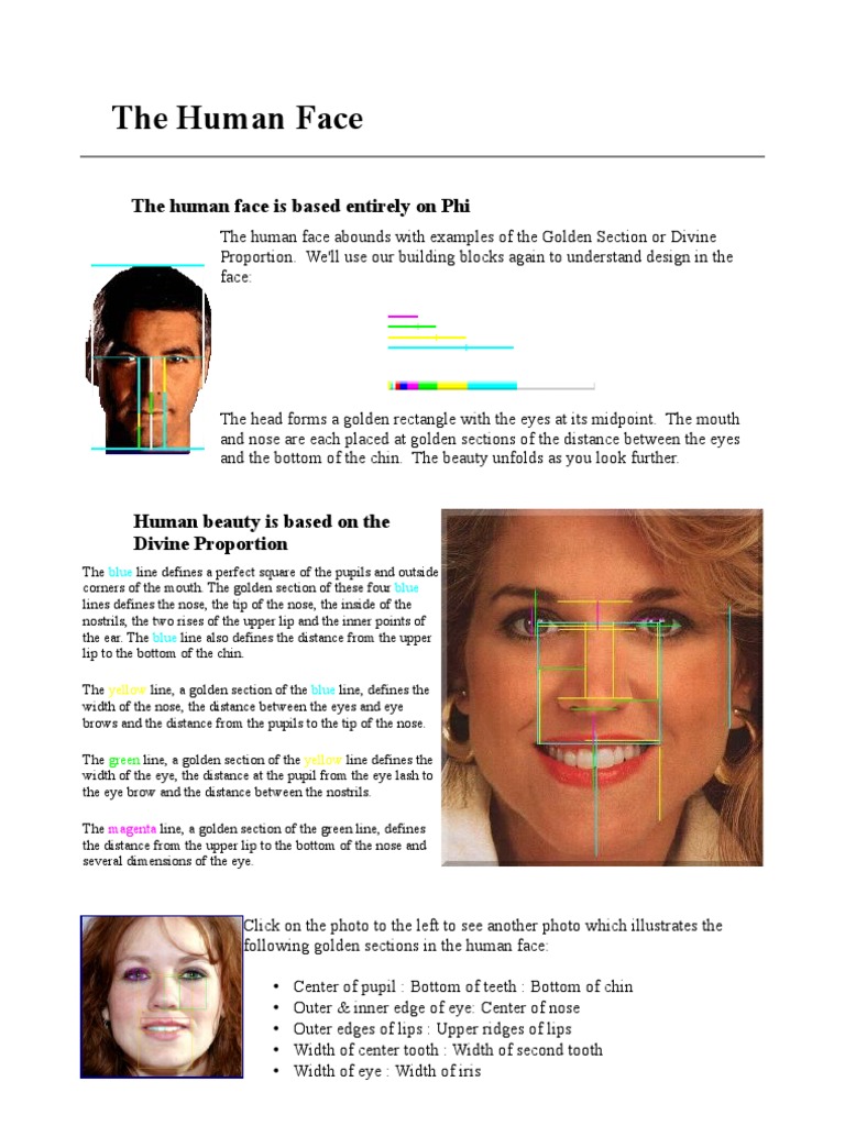 Golden Ratio-Face | PDF | Facial Features | Face