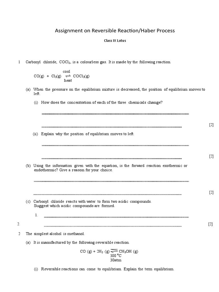 Worksheet Reversible Reaction | PDF | Chemical Reactions | Methanol