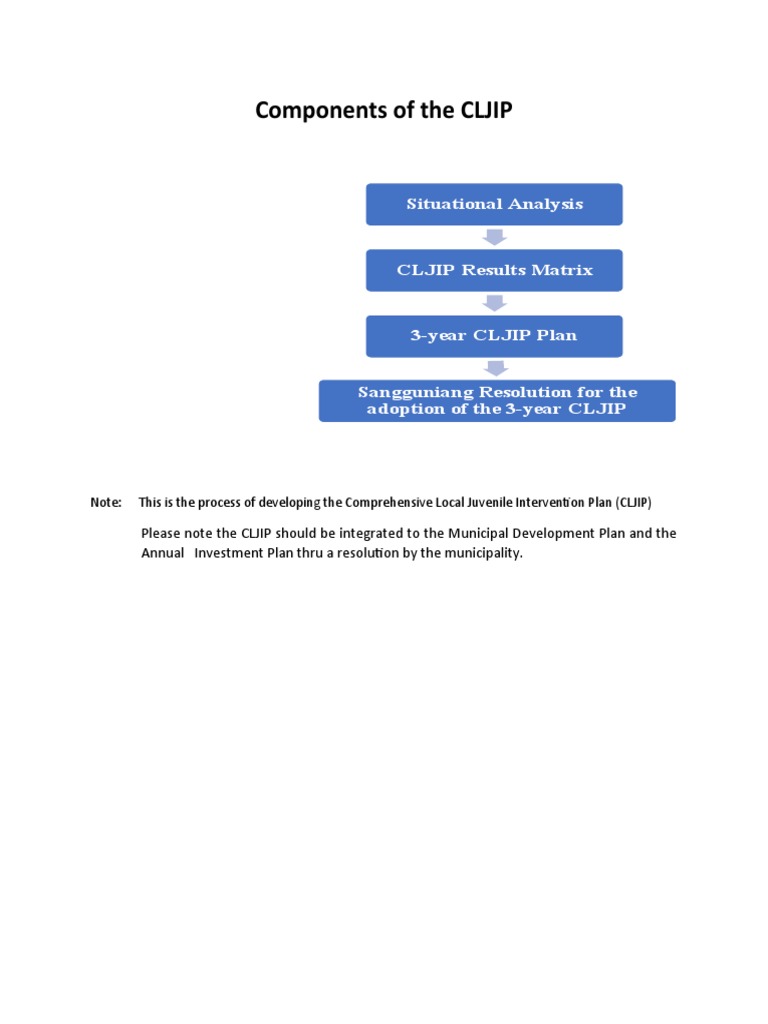 Development of Comprehensive Local Juvenile Intervention Plan CLJIP ...