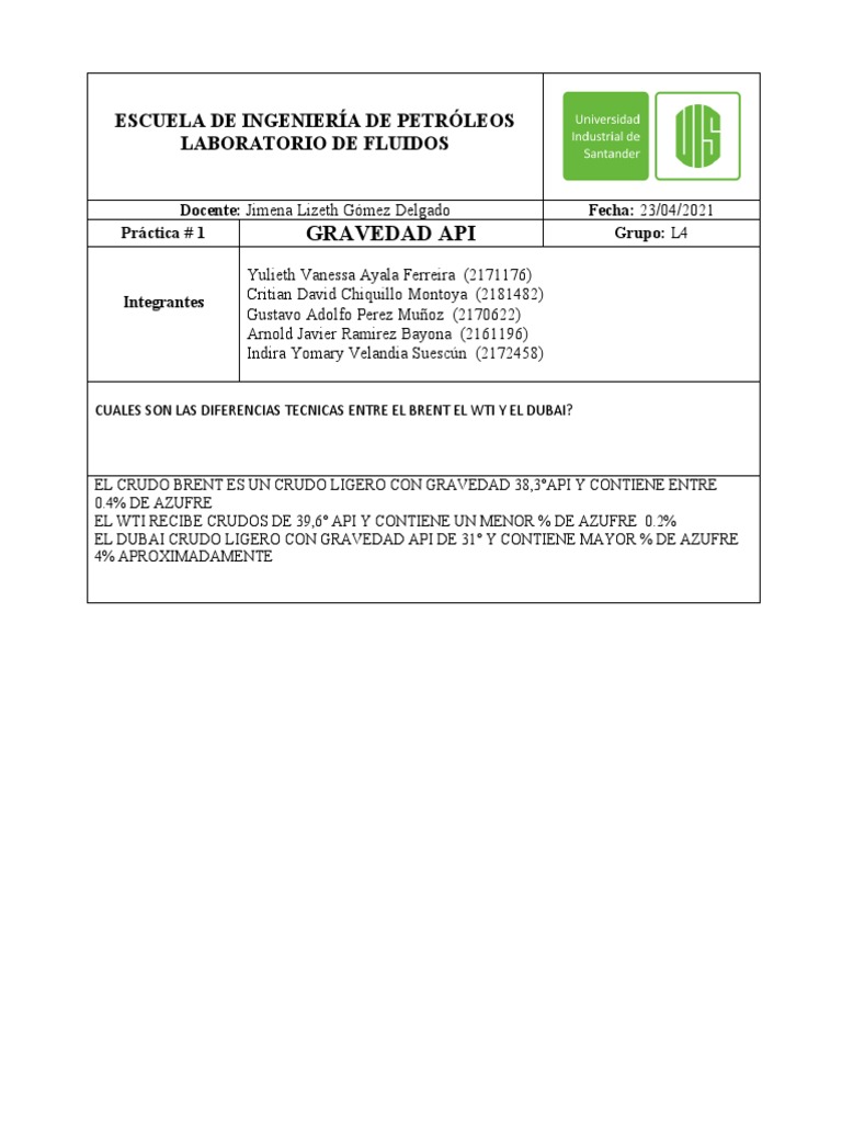 Formato Lab - Fluidos | PDF
