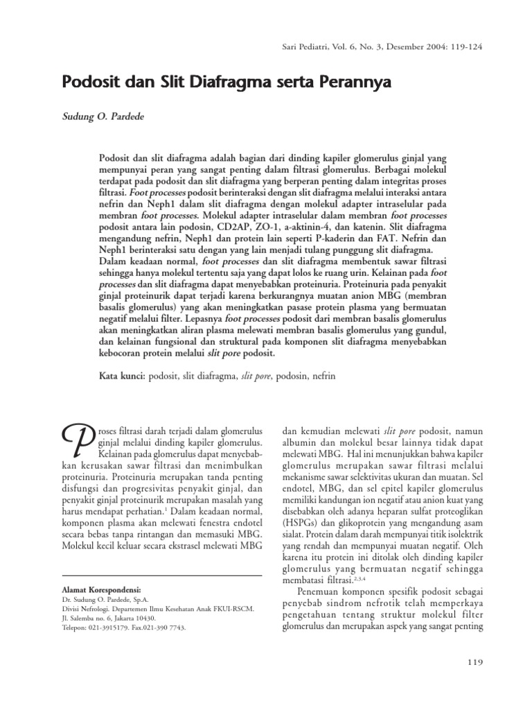 Podosit & Slit Diafragma: Peran & Fungsi | PDF