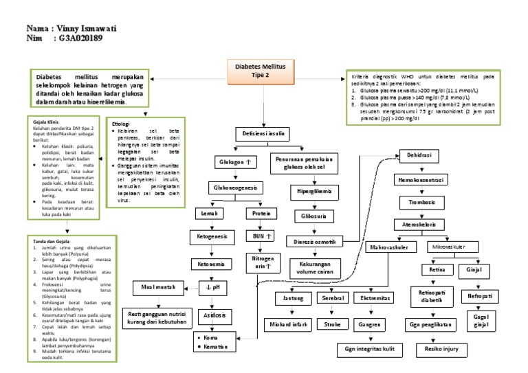 Peta Konsep Diabetes Tipe 2 | PDF
