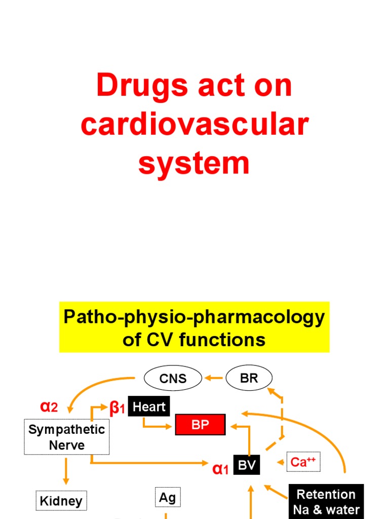 201103-Fkg-Drugs Act On Cardiovascular System | PDF | Vasodilation ...