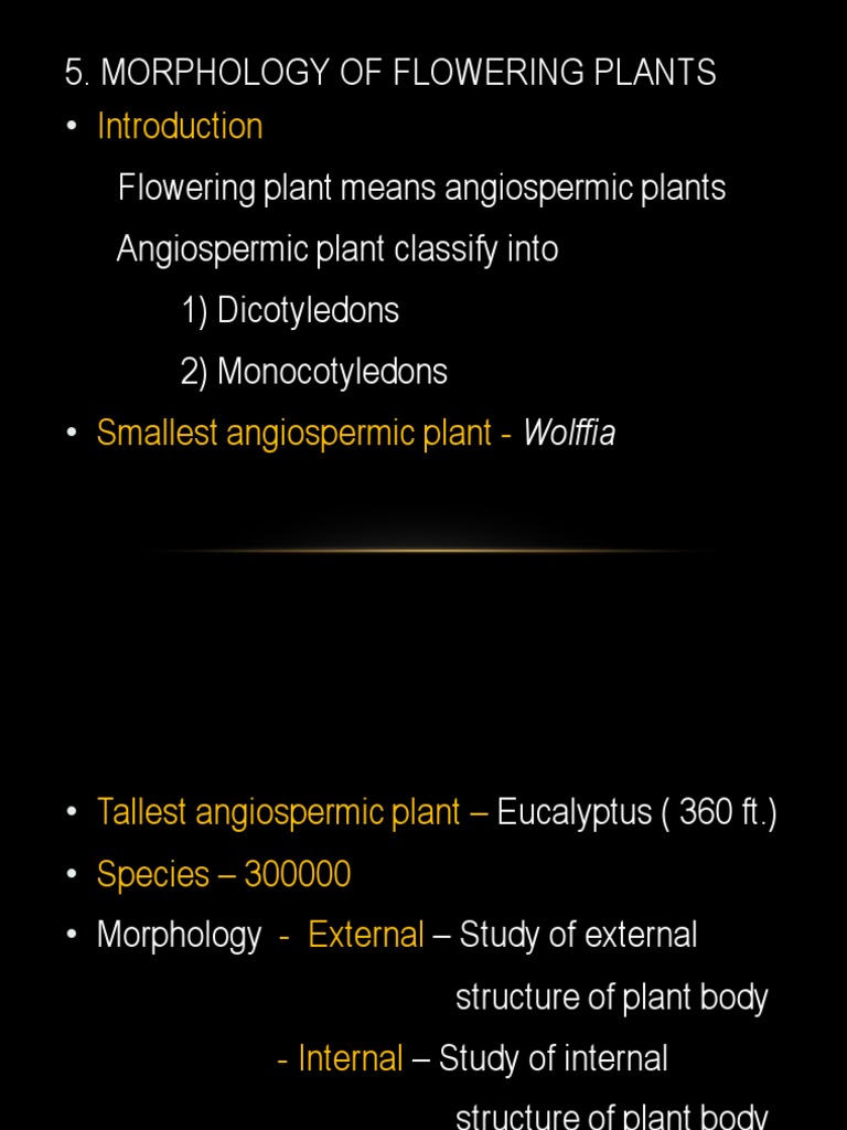 Morphology of Flowering Plants Explained | PDF | Leaf | Flowers